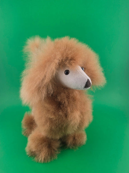 Alpaca Fur Poodle | Choice Alpaca Products