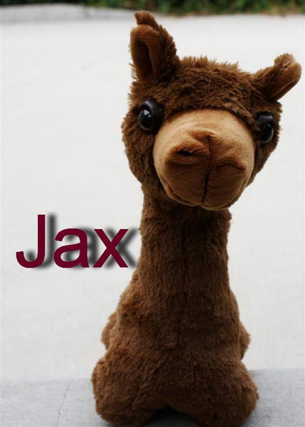PacaBuddies Stuffed Alpaca Toys | Choice Alpaca Products